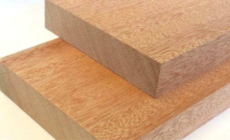 What Is Meranti Wood: Top 5 Super Attributes & Best Review