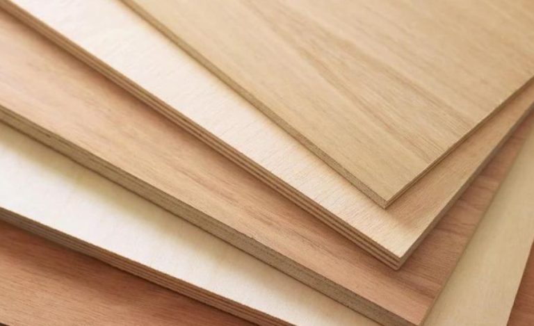 What Is Meranti Wood: Top 5 Super Attributes & Best Review