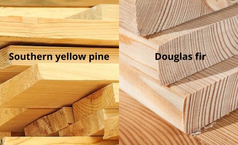 Southern Yellow Pine Vs. Douglas Fir: Top 7 Best Compare